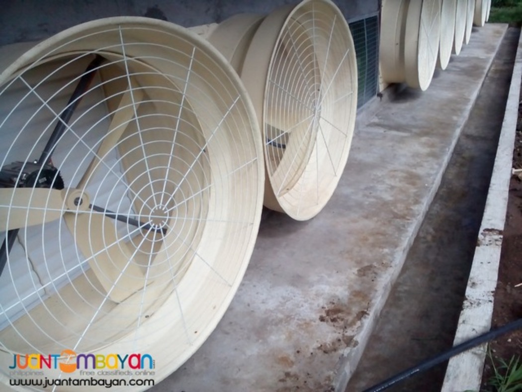 Tunnel Ventilated Poultry House Construction