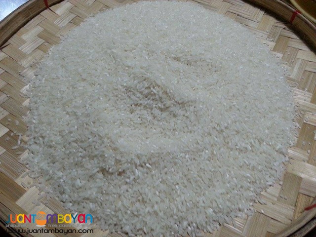 Rice / Bigas