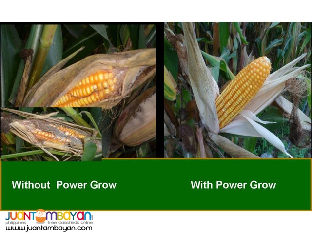 Power Grow Foliar Fertilize Distributor