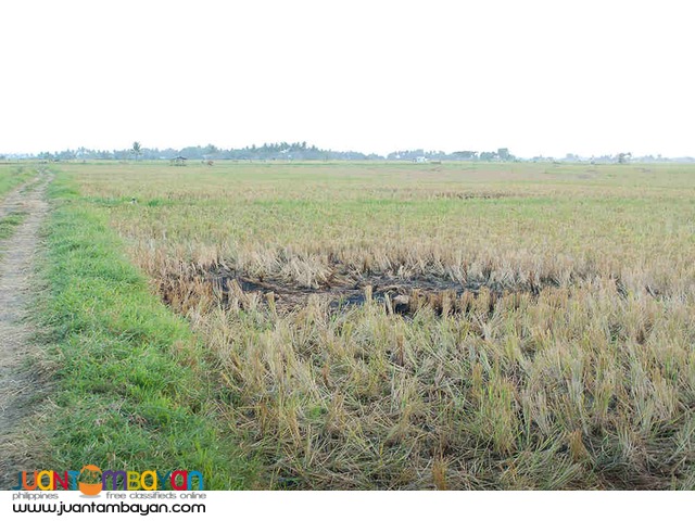 Agricultural Land 3 hectares 2.2M For Sale