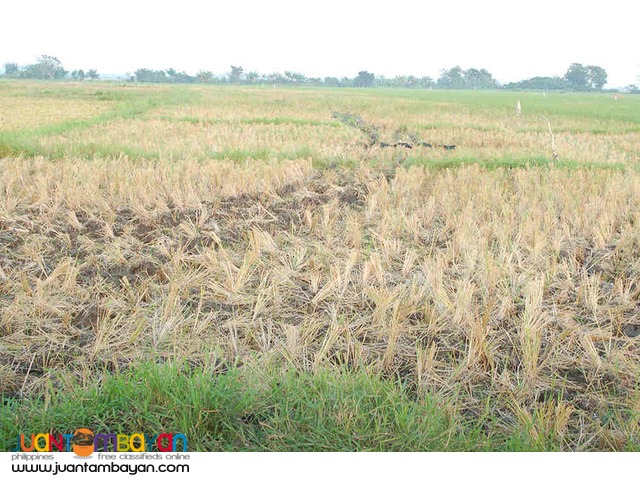 Agricultural Land 3 hectares 2.2M For Sale