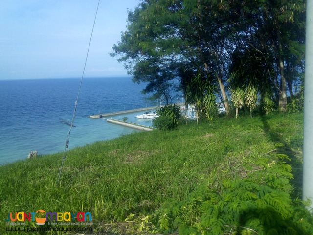 lot only ocean view samal davao del norte