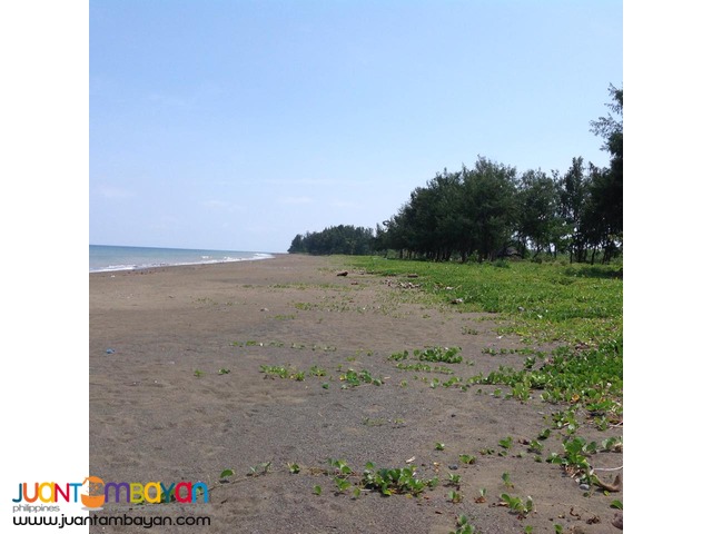 Lot For Sale At INFANTA Quezon Beach Resort