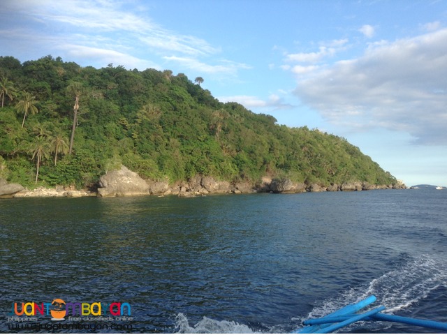 For Sale 5-Hectare Farm lot with Shoreline in Isla Verde