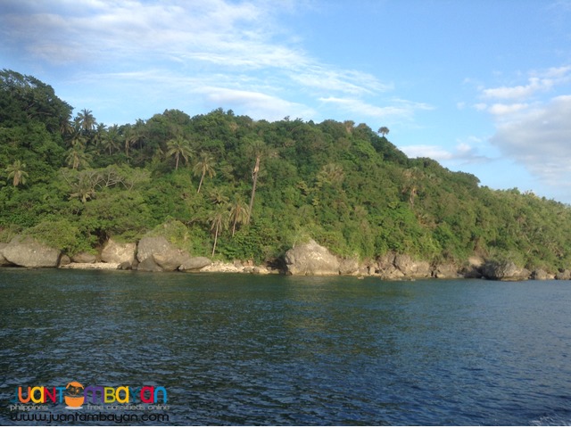 For Sale 5-Hectare Farm lot with Shoreline in Isla Verde