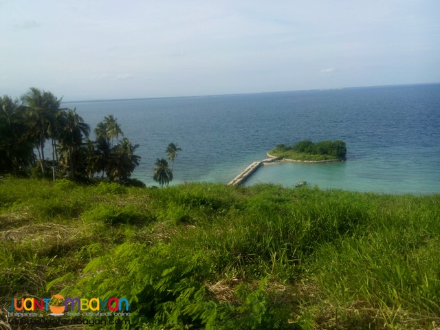 CORNER LOT IN OCEAN VIEW SAMAL ISLAND