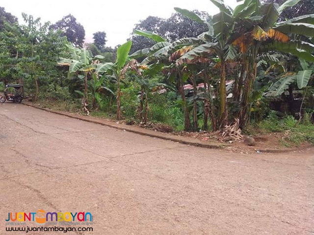 Nuestra senora de la paz subd.Sumulong hiway Antipolo city