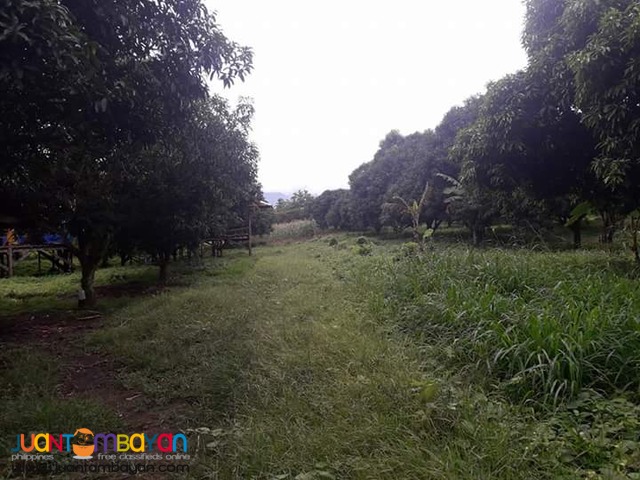 FARM LOT IN TORIL DAVAO CITY
