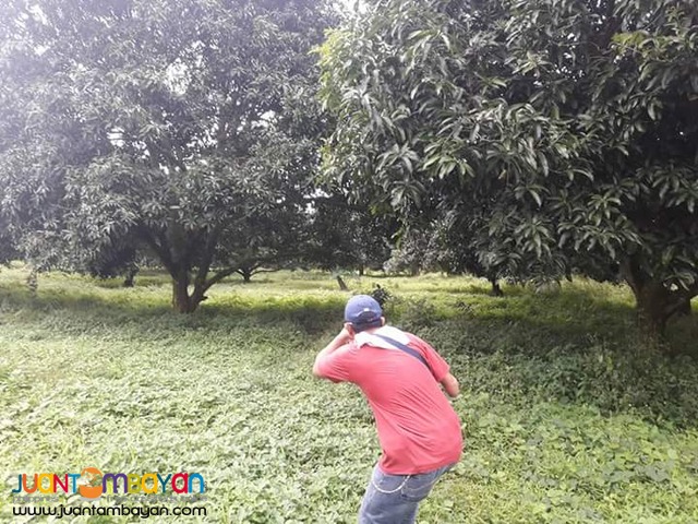 FARM LOT IN TORIL DAVAO CITY