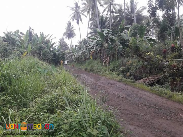 FARM LOT IN TORIL DAVAO CITY