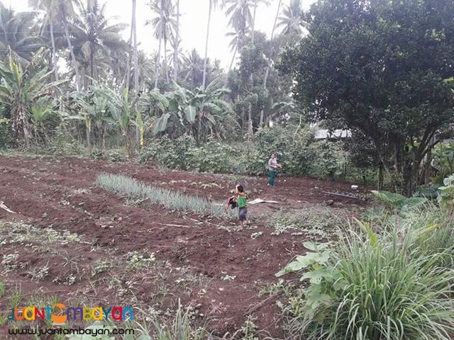 FARM LOT IN TORIL DAVAO CITY
