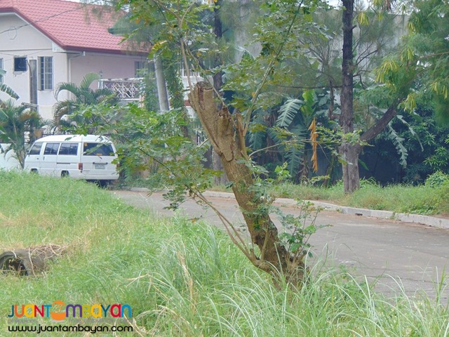 Metropolis East Angono Residential Lot for Sale near LTO SM