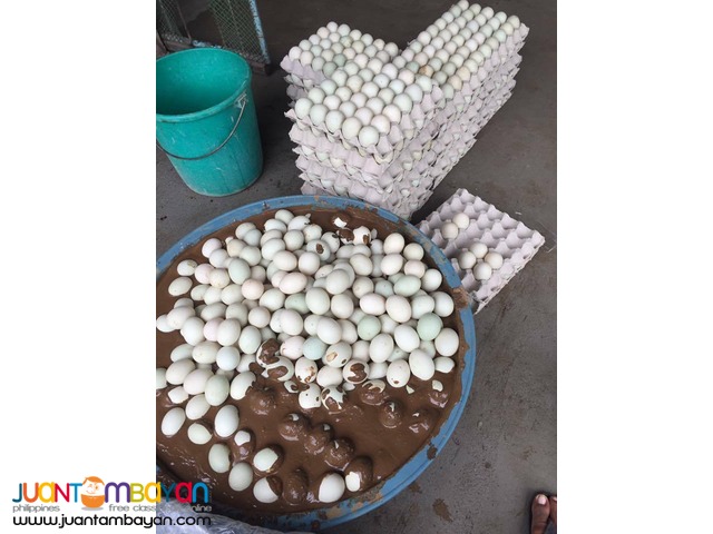 Balut sa Puti, Penoy at Itlog na Maalat
