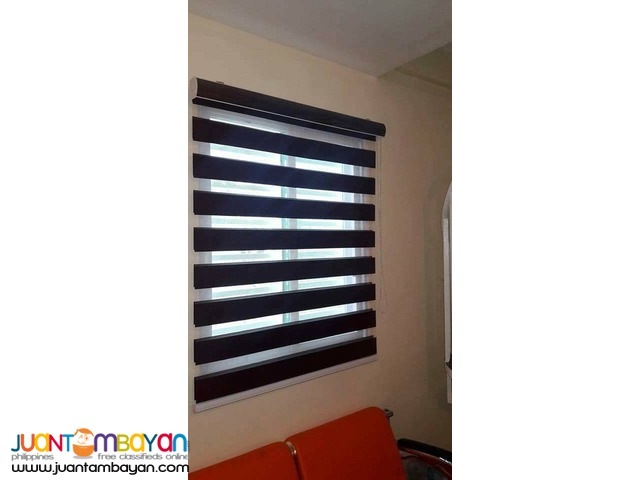 Combi Window Blinds