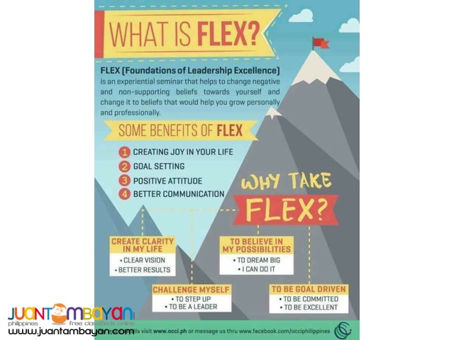 The Foundations of Leadership Excellence (FLEX)