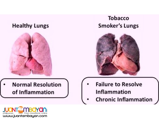 How to Cure your Sickness