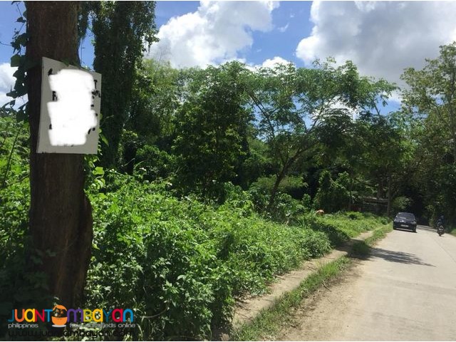 Resale lot for sale at Metropolis Talamban