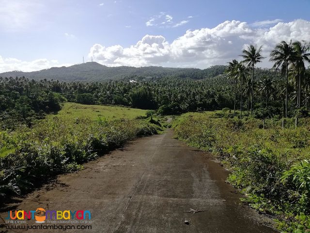 5.2 Hectares Lot for Sale