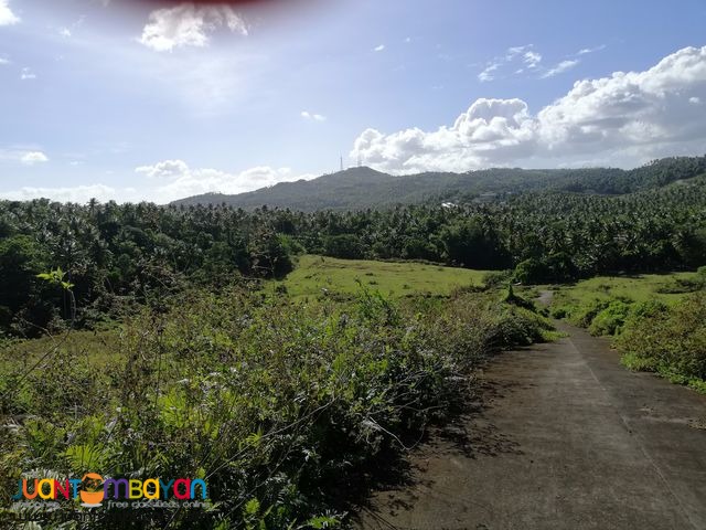 5.2 Hectares Lot for Sale