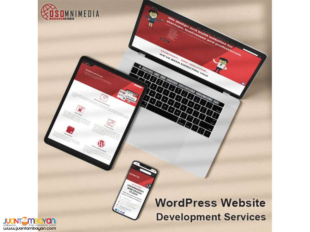 Responsive WordPress Website Development Services