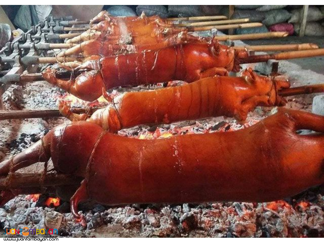 lechon! lechon Baboy