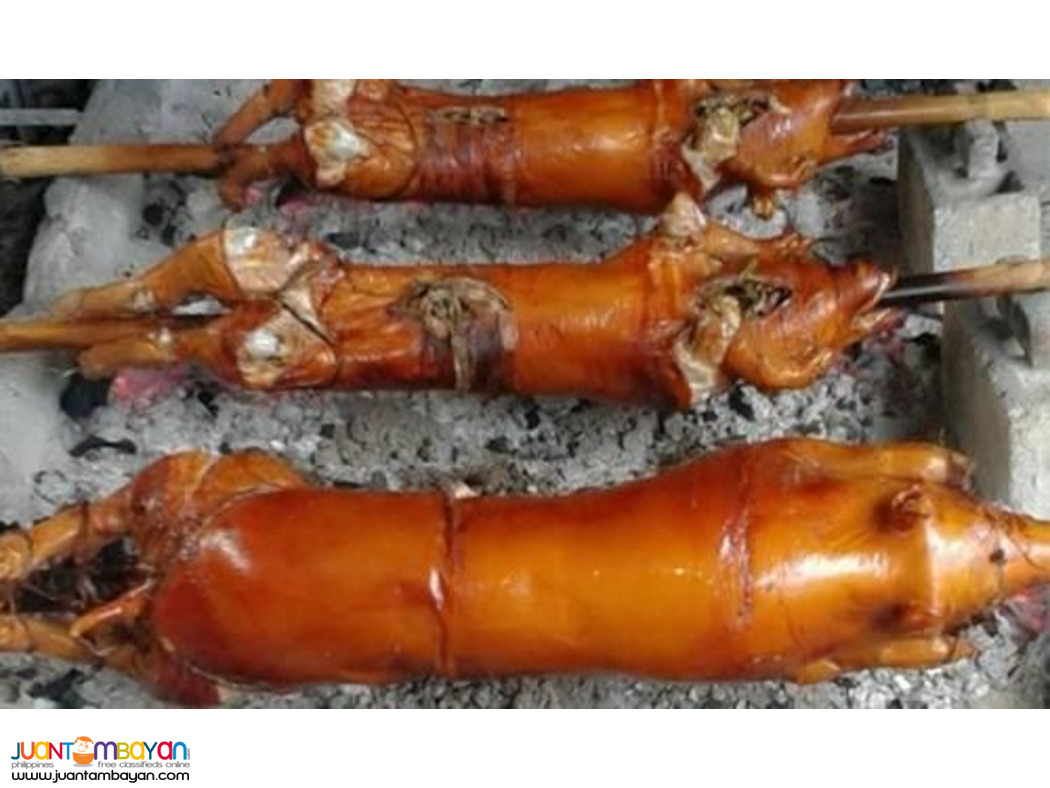 lechon! lechon Baboy