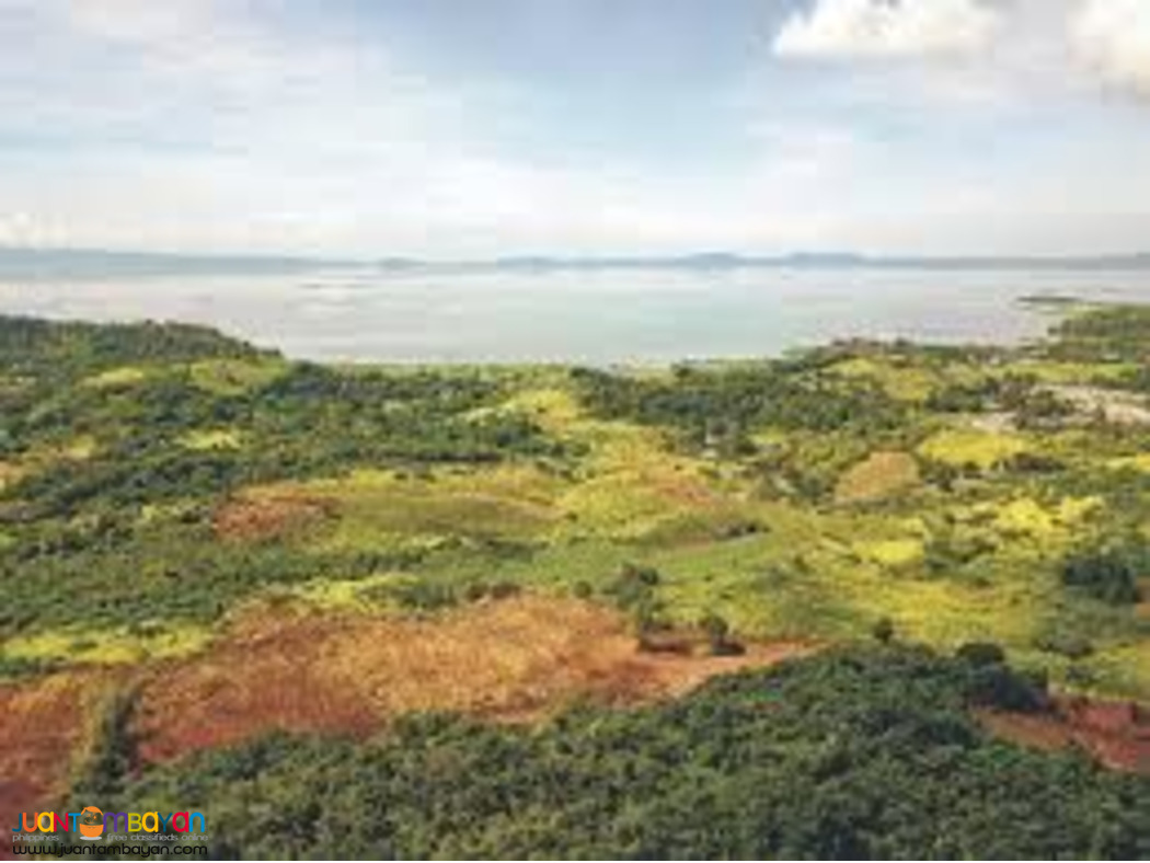 PONTE VERDE Pililla Rizal LOTS FOR SALE
