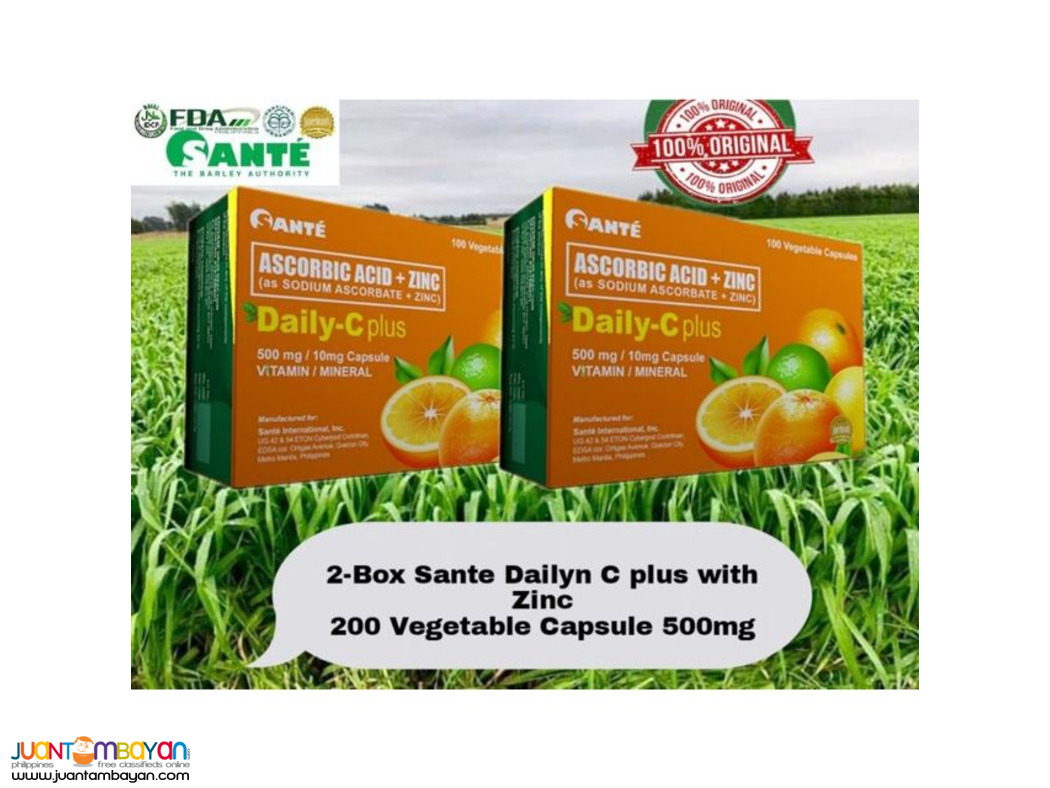 Daily C Plus Ascorbic Acid Zinc 500mg 10mg X 100s