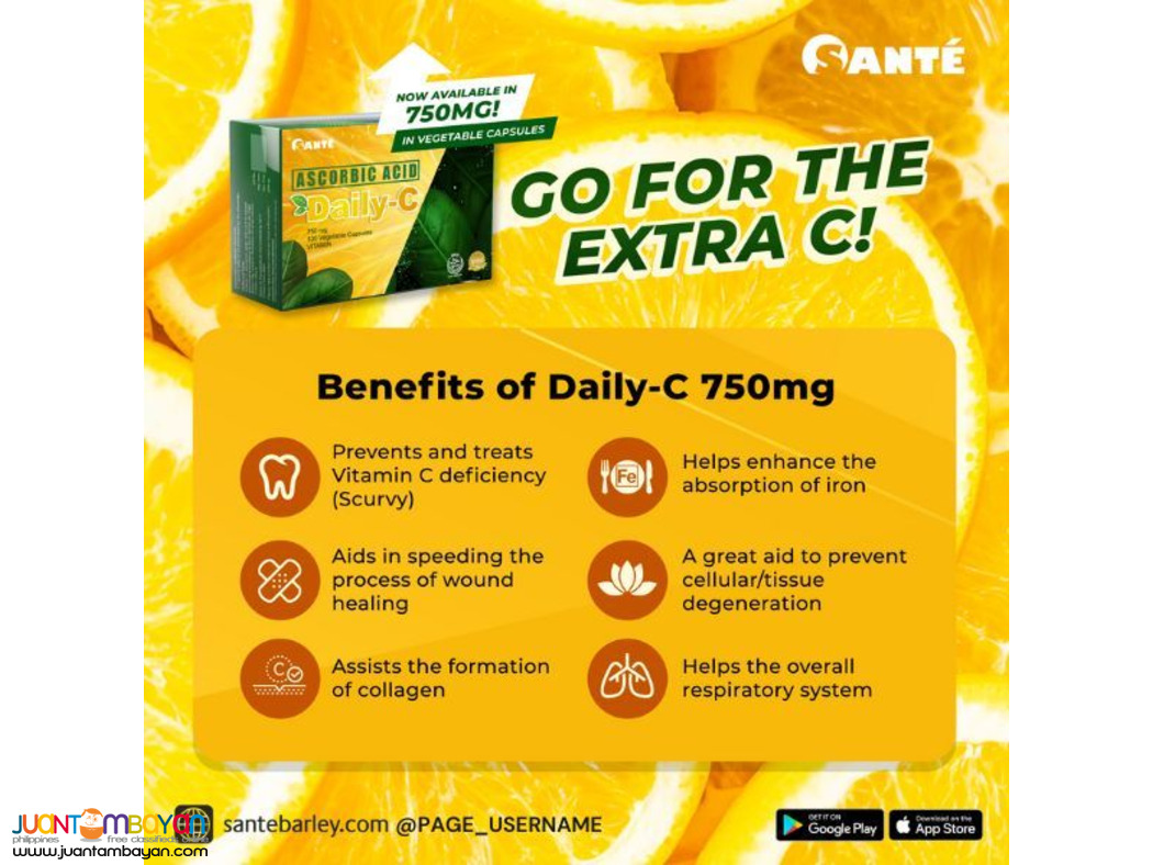 Daily C Plus Ascorbic Acid Zinc 500mg 10mg X 100s