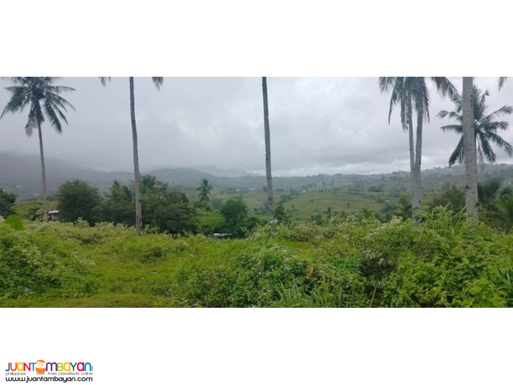 2.5 hectares clean title near highway 1k/sqm negotiable