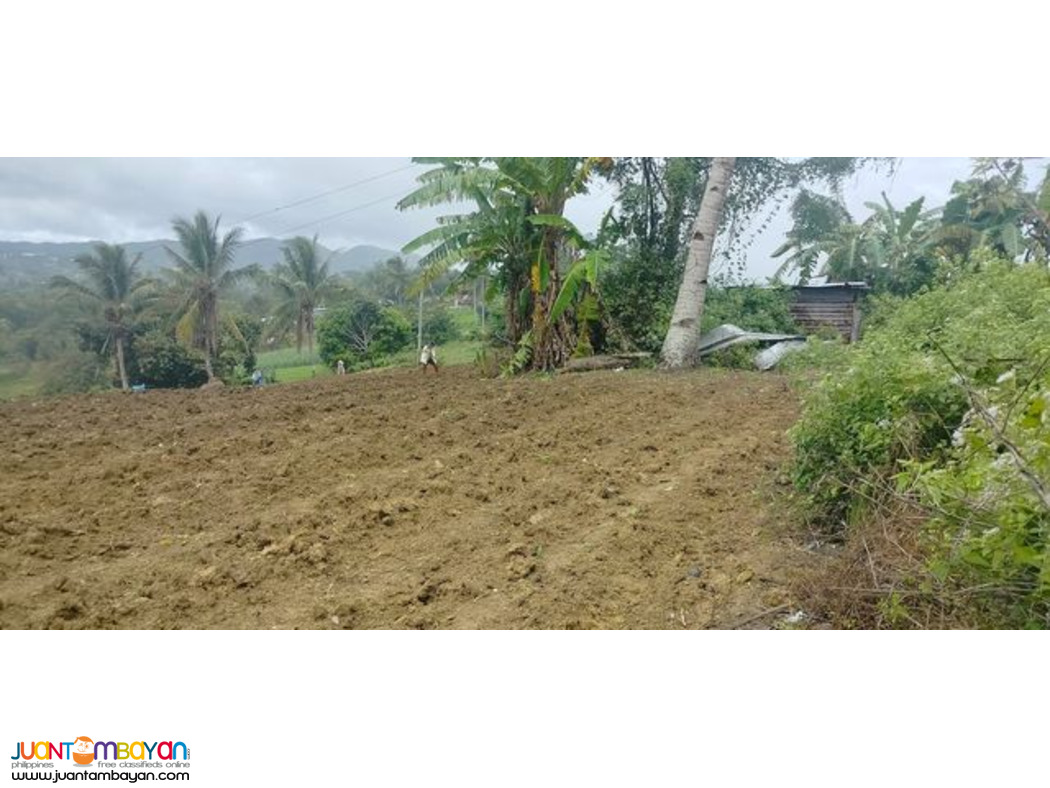 2.5 hectares clean title near highway 1k/sqm negotiable