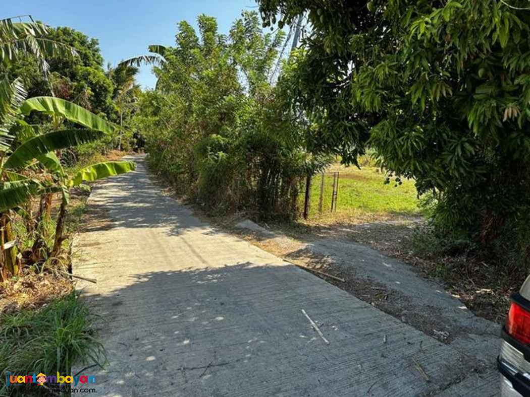 AFFORDABLE RESIDENTIAL FARM LOTS in NASUGBU BATANGAS