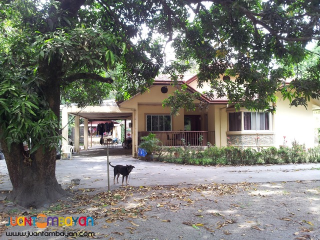 A 3-BR house and lot (2800sqm) route to Hanjin. Castillejos Zambales