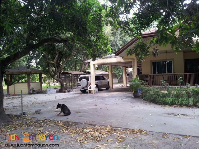 A 3-BR house and lot (2800sqm) route to Hanjin. Castillejos Zambales