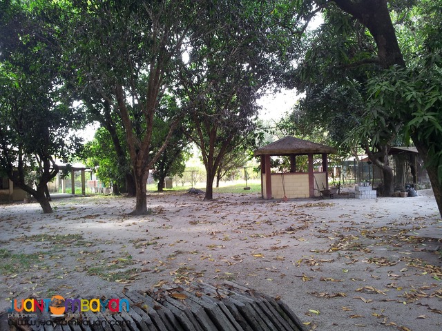 A 3-BR house and lot (2800sqm) route to Hanjin. Castillejos Zambales