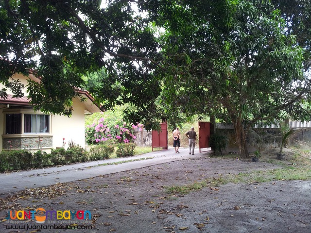 A 3-BR house and lot (2800sqm) route to Hanjin. Castillejos Zambales